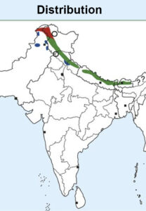 goldcrest-map – Ogaclicks